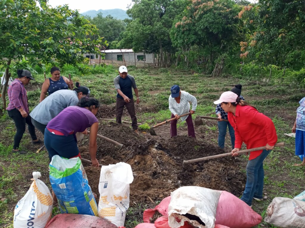 Climate change resilient families in Honduras - GlobalGiving
