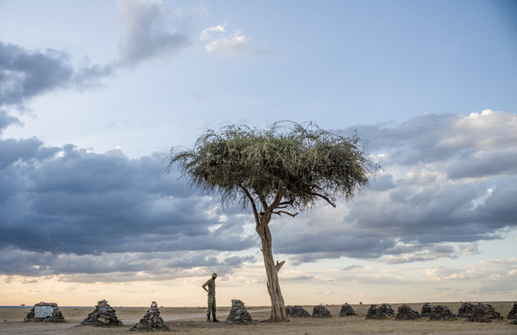 You Can Help Save a Species! - GlobalGiving