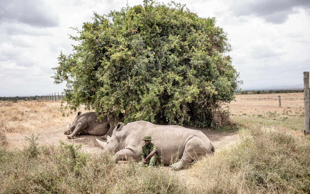 You Can Help Save a Species! - GlobalGiving