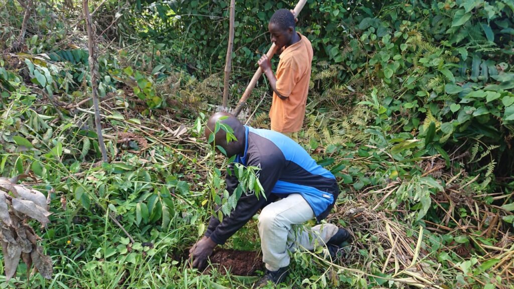 Reports on Plant 10,000 Trees to Combat Climate Change - GlobalGiving