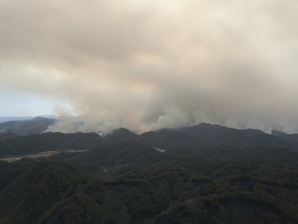 The worst forest fire in Korea ever, Please HELP - GlobalGiving