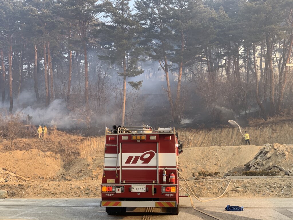 The worst forest fire in Korea ever, Please HELP - GlobalGiving