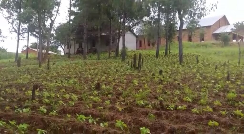 Raise for Ndirima Litembo Montessori School - GlobalGiving