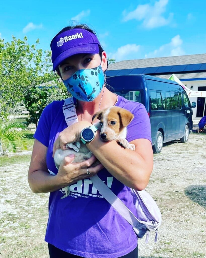 Spay and Neuter 10,000 Dogs & Cats In The Bahamas - GlobalGiving