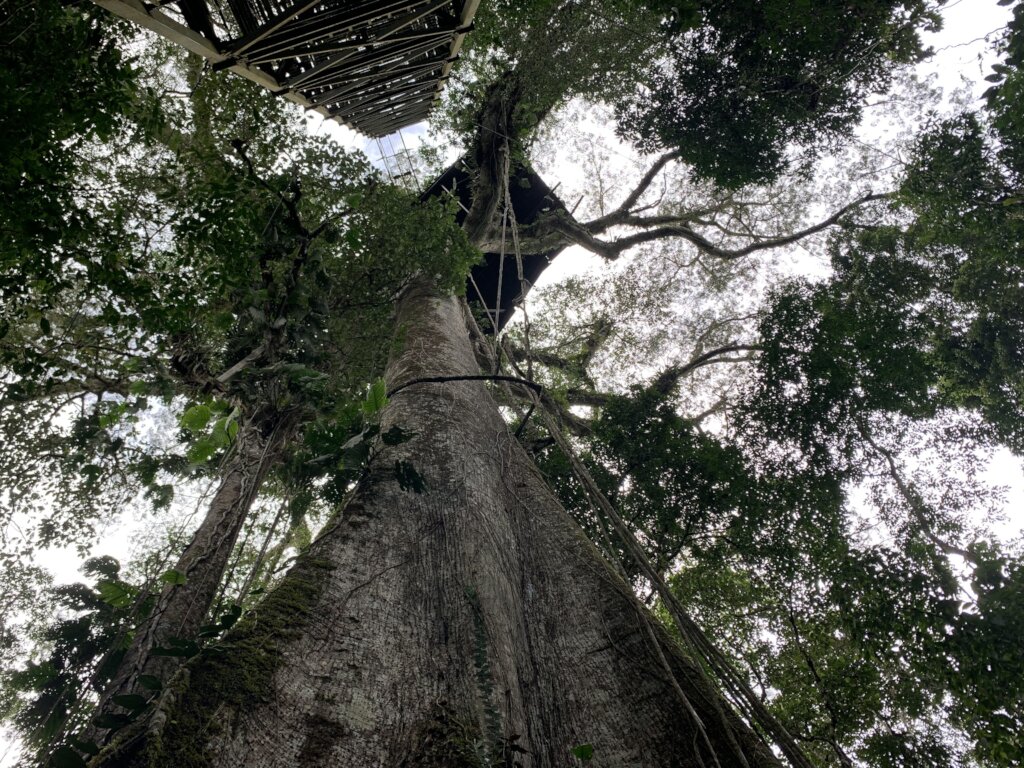 Women of the Rio Napo: - GlobalGiving