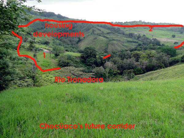 Chocüaco's Forest Corridor, Tronadora, Costa Rica - GlobalGiving