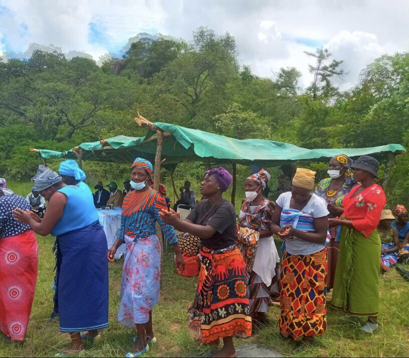 Help Stop Human Wildlife Conflict in Zimbabwe - GlobalGiving