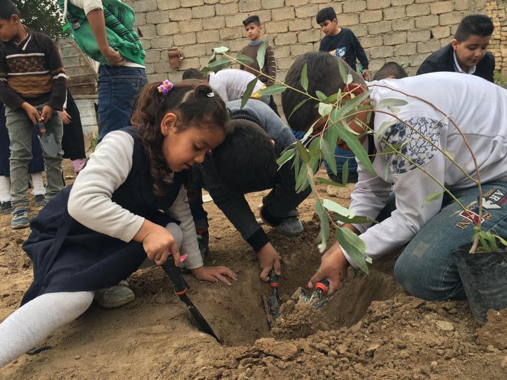 Reports on Plant 40,000 Trees In iraq - GlobalGiving
