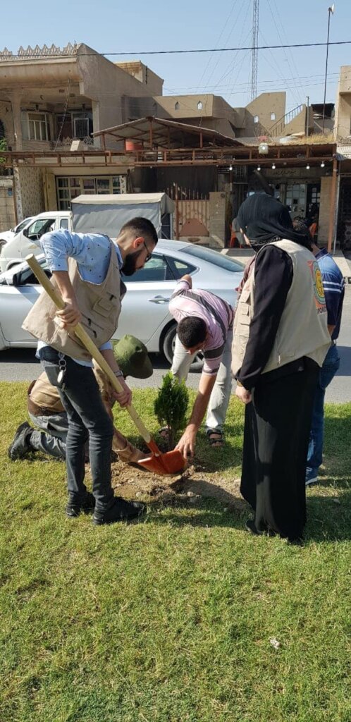 Plant 40,000 Trees In iraq - GlobalGiving