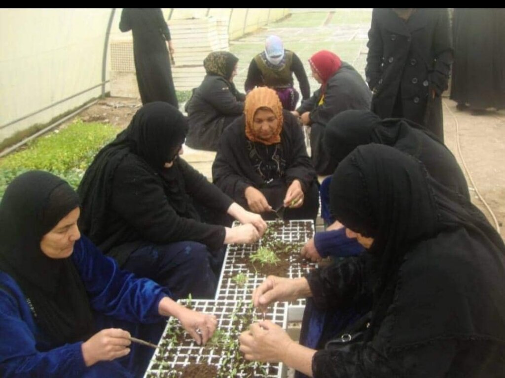 Plant 40,000 Trees In iraq - GlobalGiving