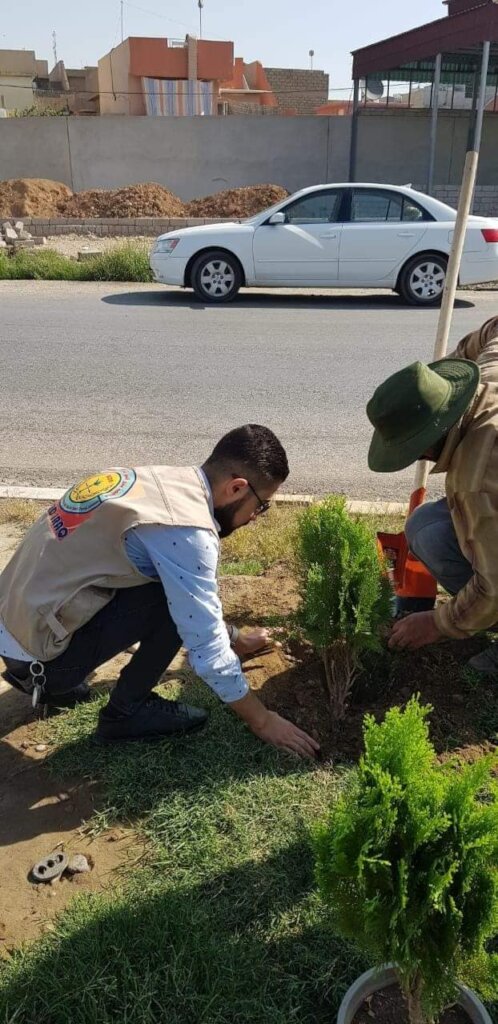 Plant 40,000 Trees In iraq - GlobalGiving