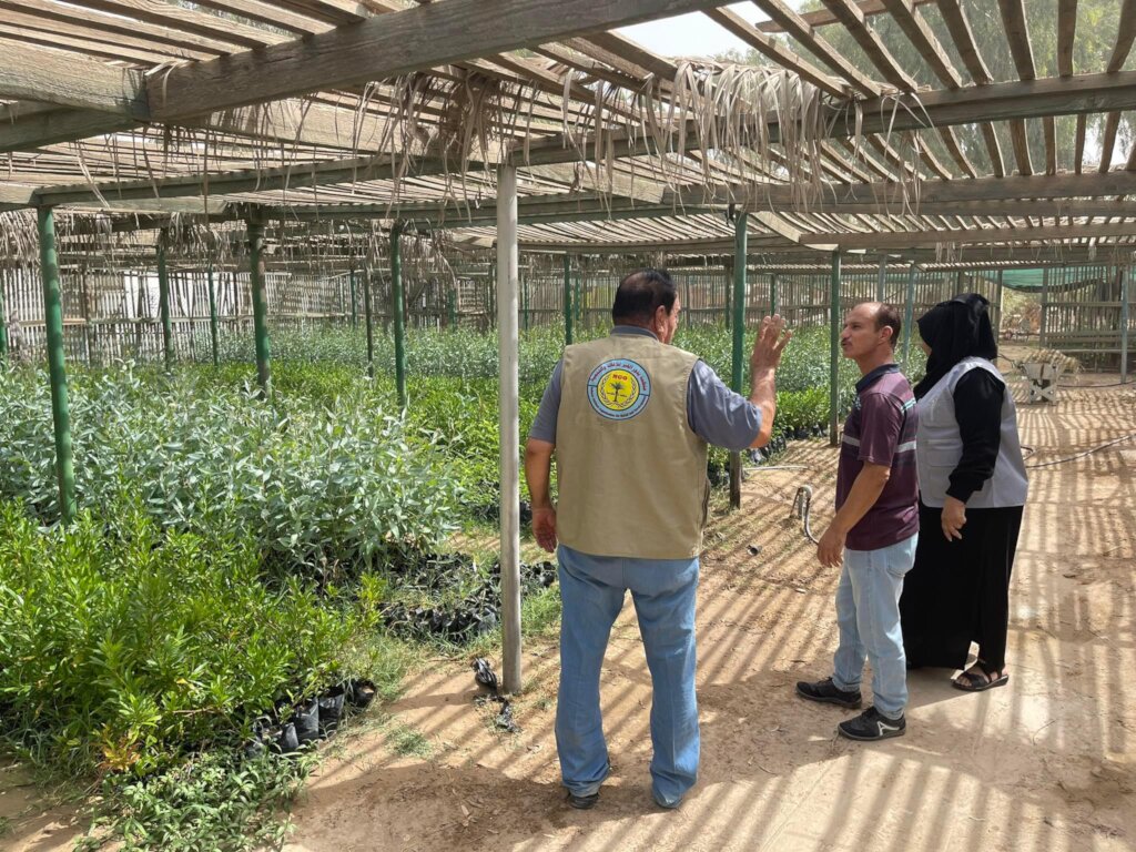 Plant 40,000 Trees In iraq - GlobalGiving
