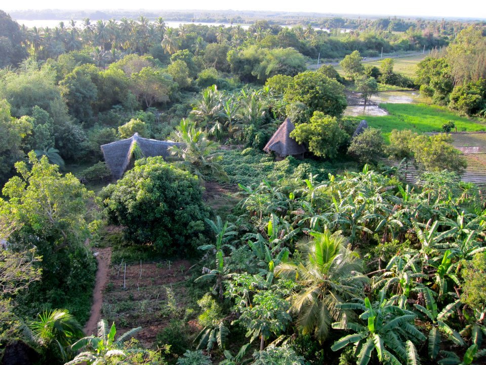 Auroville - Empower a regenerative Future - GlobalGiving