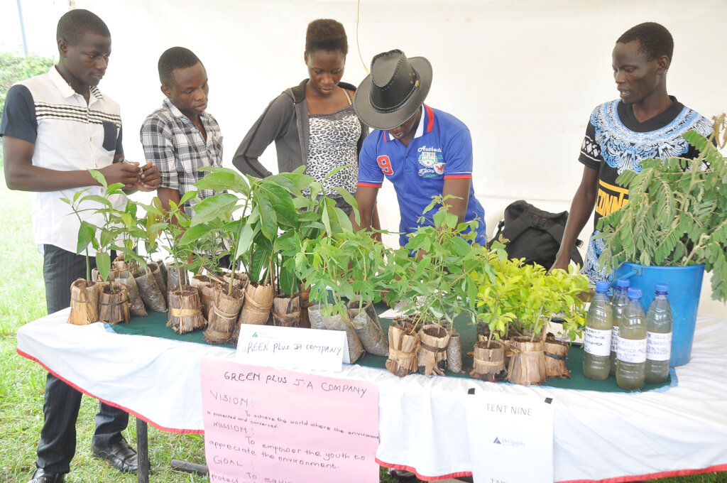 The Climate Changemakers Fellowship Program - GlobalGiving