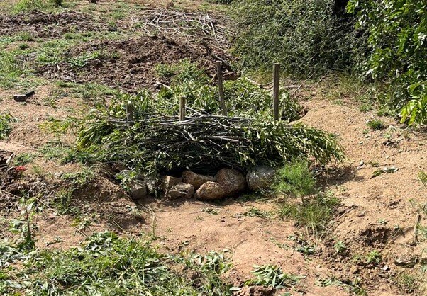 Reports on Help Save An Elephants' Home - GlobalGiving