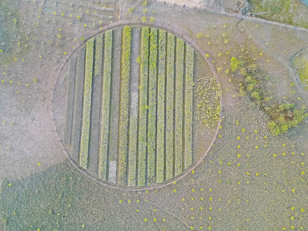 DONATE A TREE: CAPTURE THE CARBON - GlobalGiving