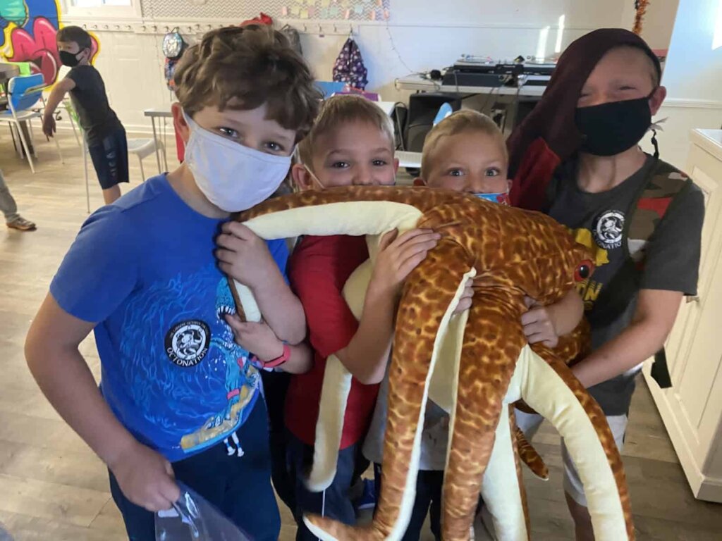 Ocean Conservation through the eyes of the Octopus - GlobalGiving