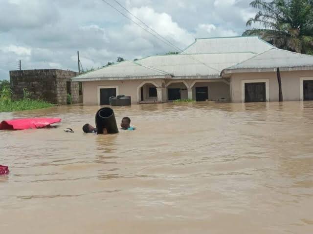Save Flood Victims in Nigeria from Hunger/Sickness - GlobalGiving