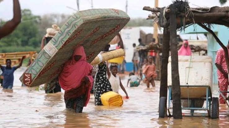 Save Flood Victims in Nigeria from Hunger/Sickness - GlobalGiving