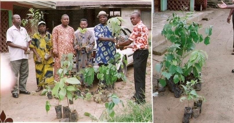 Planting 5,000 trees in 5 villages in Nigeria - GlobalGiving