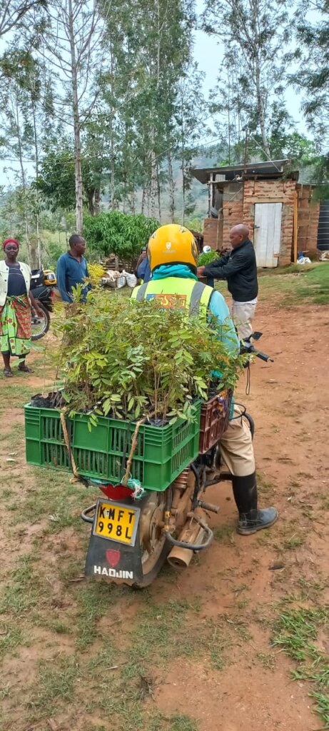 The Seed of Life Provides Hope & Feed Hunger - GlobalGiving