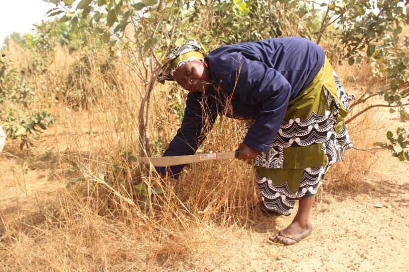 Restore environment for Sustainable living - GlobalGiving