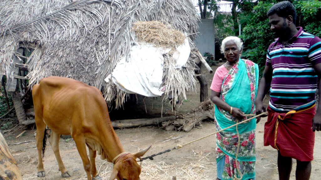 Empowerment of Dalit Women in India - GlobalGiving