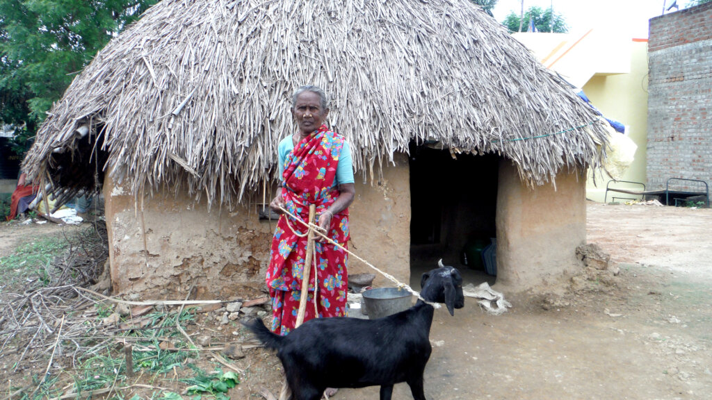 Empowerment of Dalit Women in India - GlobalGiving