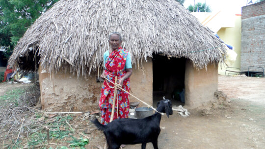 Empowerment of Dalit Women in India - GlobalGiving