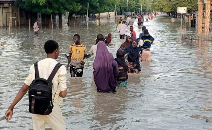 Restore Hope: Support Flood Victims in Maiduguri - GlobalGiving