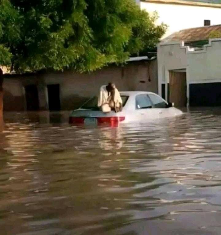 Restore Hope: Support Flood Victims in Maiduguri - GlobalGiving