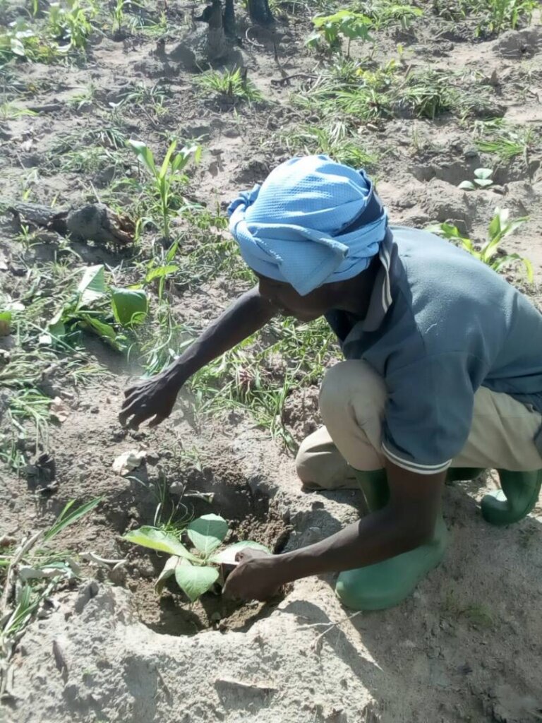 Protect Environment for our Protection - GlobalGiving