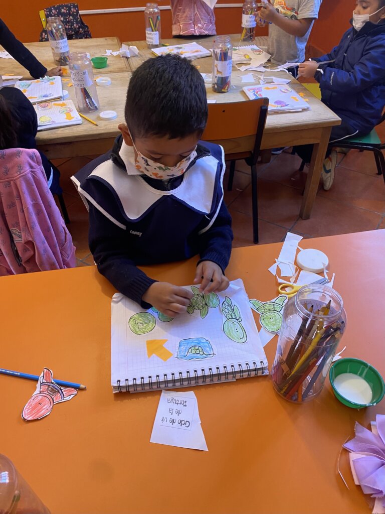 Educate Children in Mexico - GlobalGiving