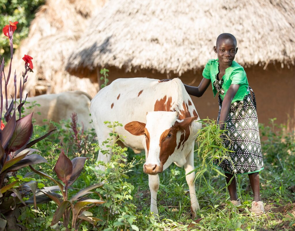 Buy an Animal. Change a Life! - GlobalGiving