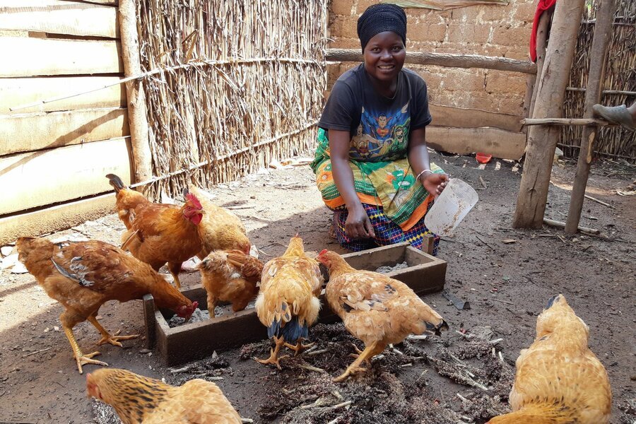Help Families Grow their Own Food in Rural Uganda - GlobalGiving
