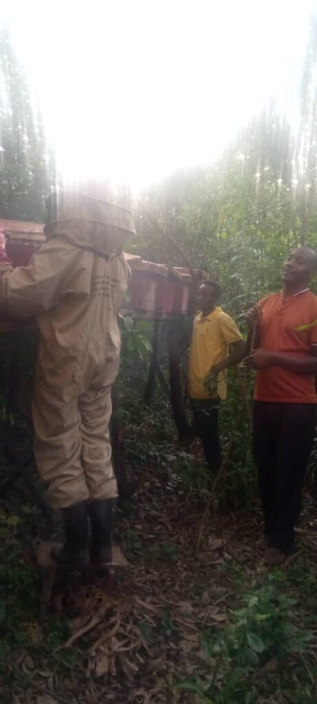 Queen Elizabeth Bee Keepers Association - GlobalGiving