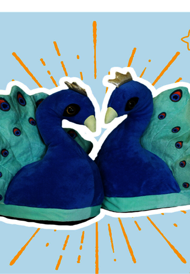 Slipper Day 2023 - GlobalGiving