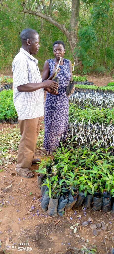 HELP 800 FARMERS PLANT 50000 FRUIT TREES IN UGANDA - GlobalGiving
