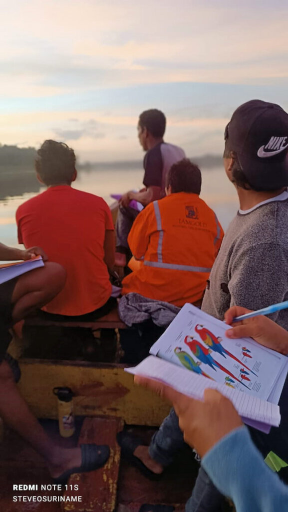 Indigenous Parrot Conservation in Suriname - GlobalGiving