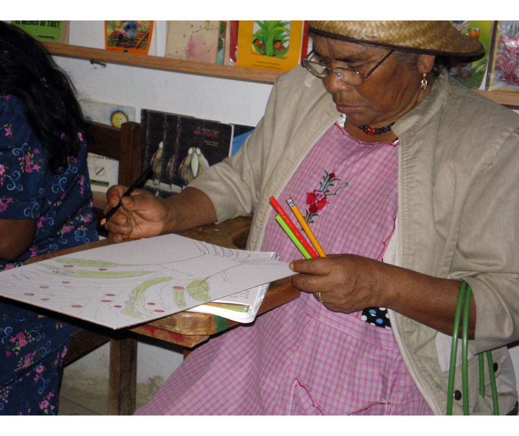 Bring Literacy to Indigenous Women - Oaxaca Mexico - GlobalGiving