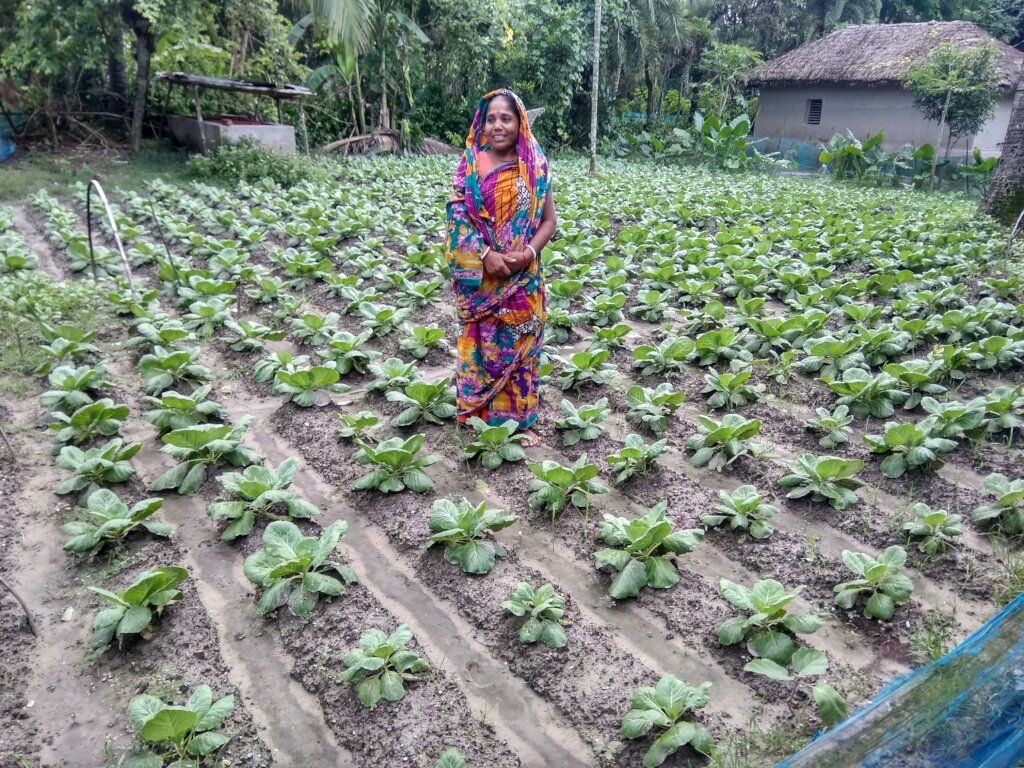 Support 10K growers for nutrition security in BGD - GlobalGiving