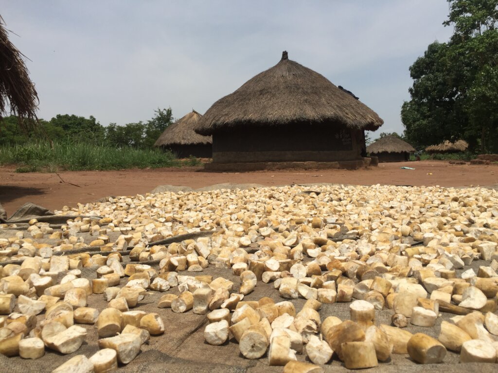 A trusted Voice in an Uncertain World - GlobalGiving