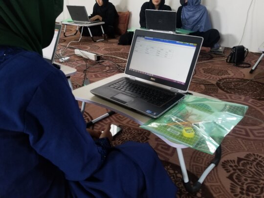 Defy the Taliban, Coding Classes for Afghan Girls - GlobalGiving