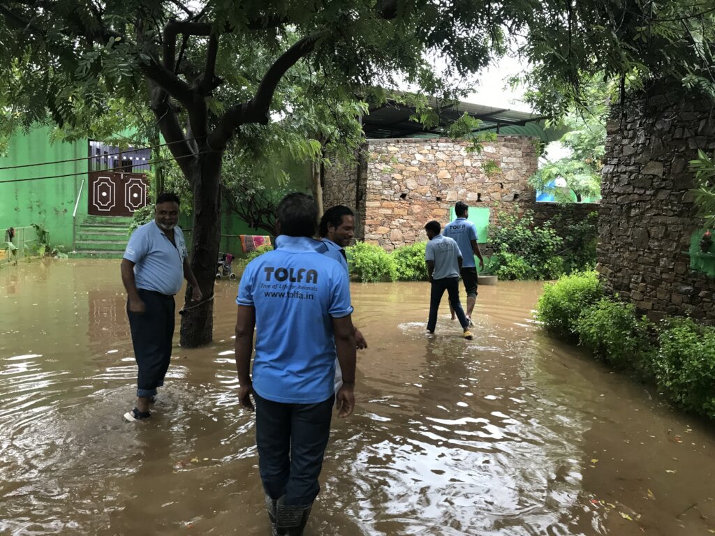 Building Works To Flood-Proof Our Animal Hospital - GlobalGiving
