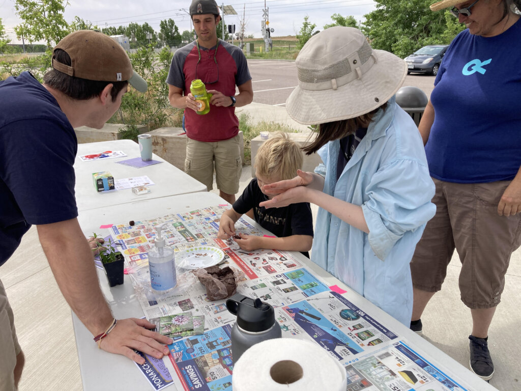 How to Share Pollinator Protectors - GlobalGiving