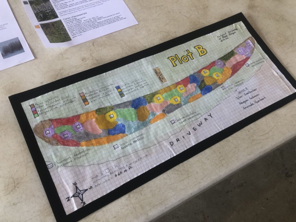 How to Share Pollinator Protectors - GlobalGiving