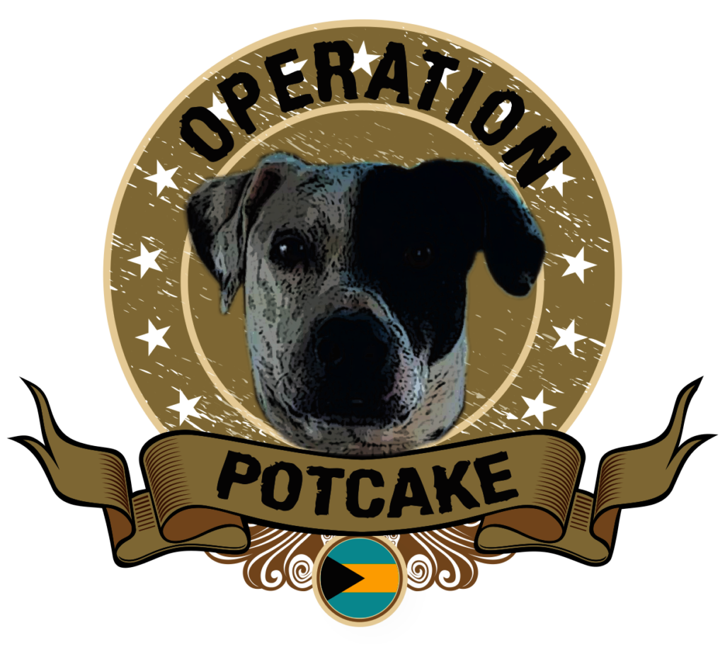 Operation Potcake 2024 - GlobalGiving