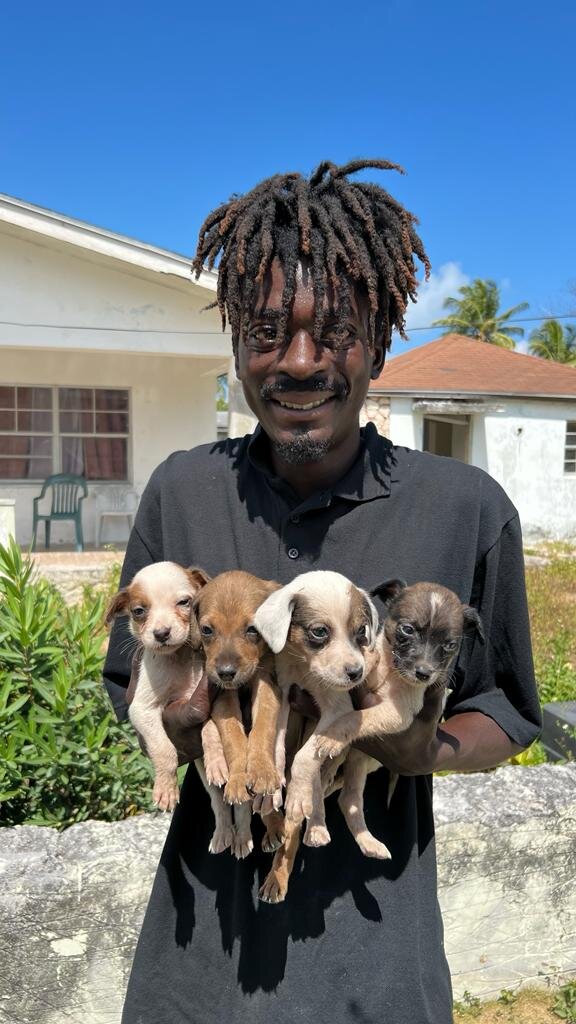 Operation Potcake 2024 - GlobalGiving