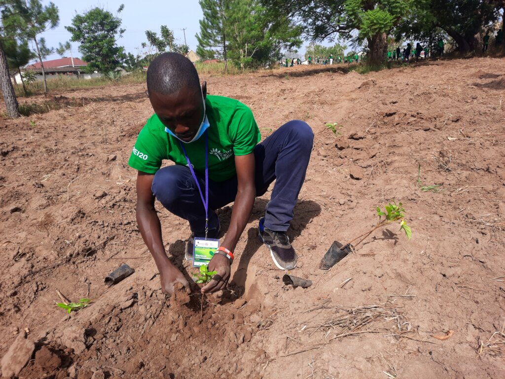 Plant 100,000 Indigenous Trees in Uganda, Africa - GlobalGiving