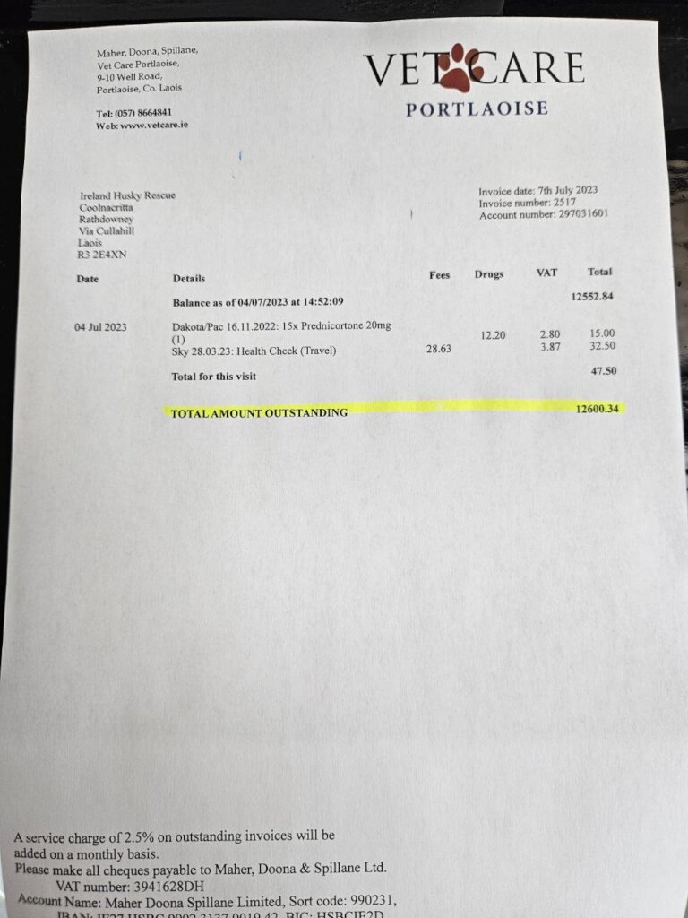 Help us to not worry about Vet Bills - GlobalGiving